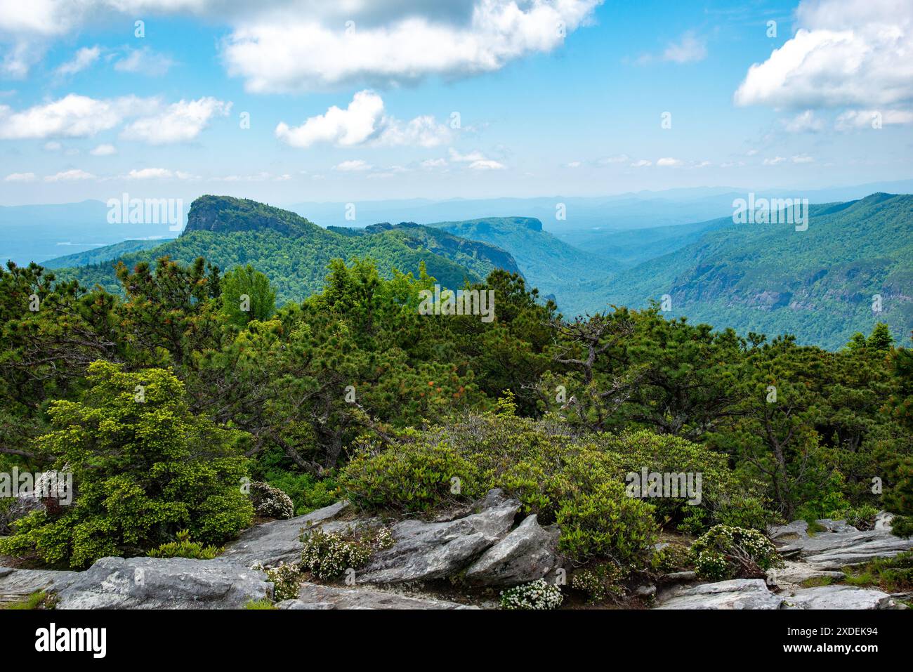 A view of Linville Gorge from Hawksbill Mountain, North Carolina Stock ...