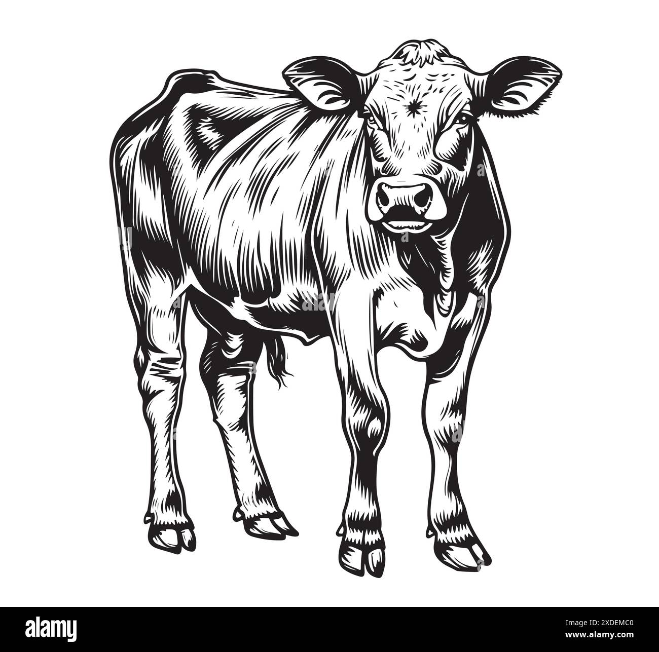 cow is standing sketch engraving illustration style Stock Vector Image ...
