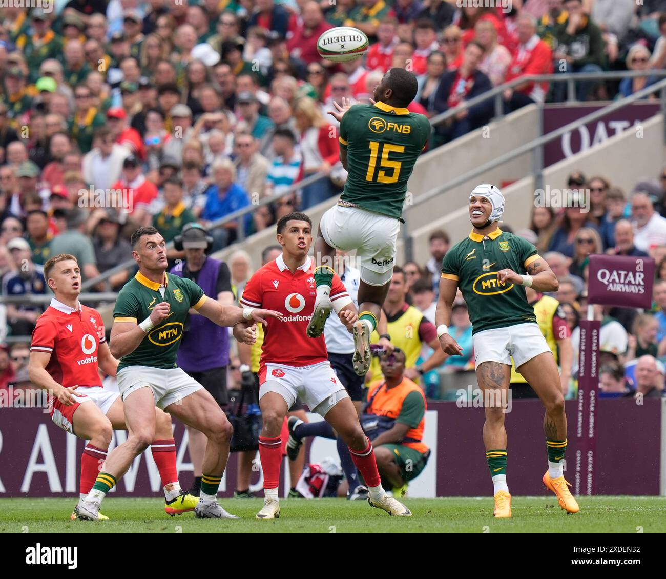 Aphelele fassi springboks hi-res stock photography and images - Alamy