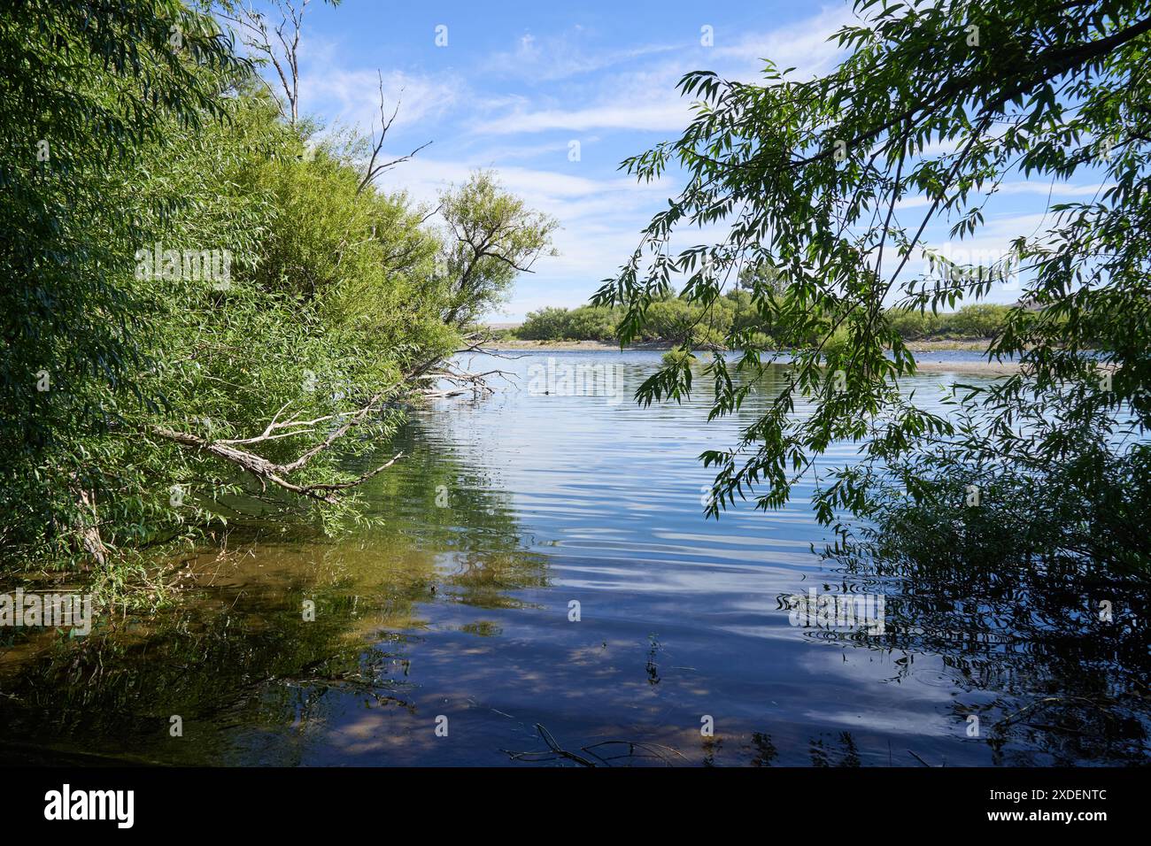 Lago de troncos hi-res stock photography and images - Alamy