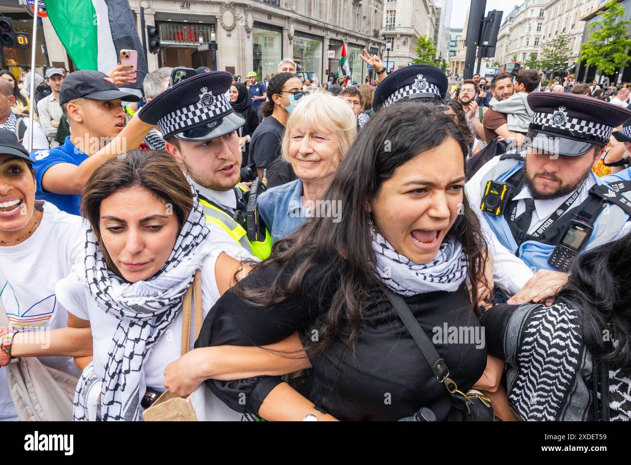 London, UK. 22 JUN, 2024. Protestors link arms to try stop the arrest ...