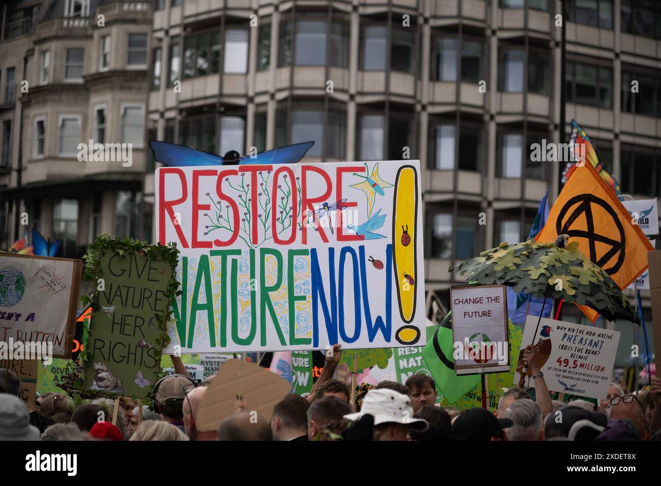 Restore Nature Now march. The march calls for urgent political action ...