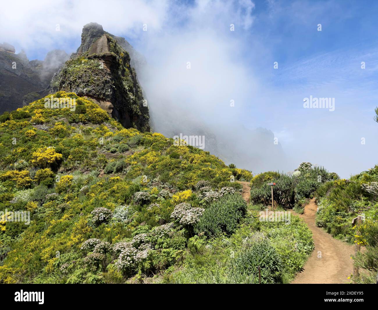 PR1 hiking trail from Pico Arieiro to Pico Ruvio, Madeira, Portugal ...