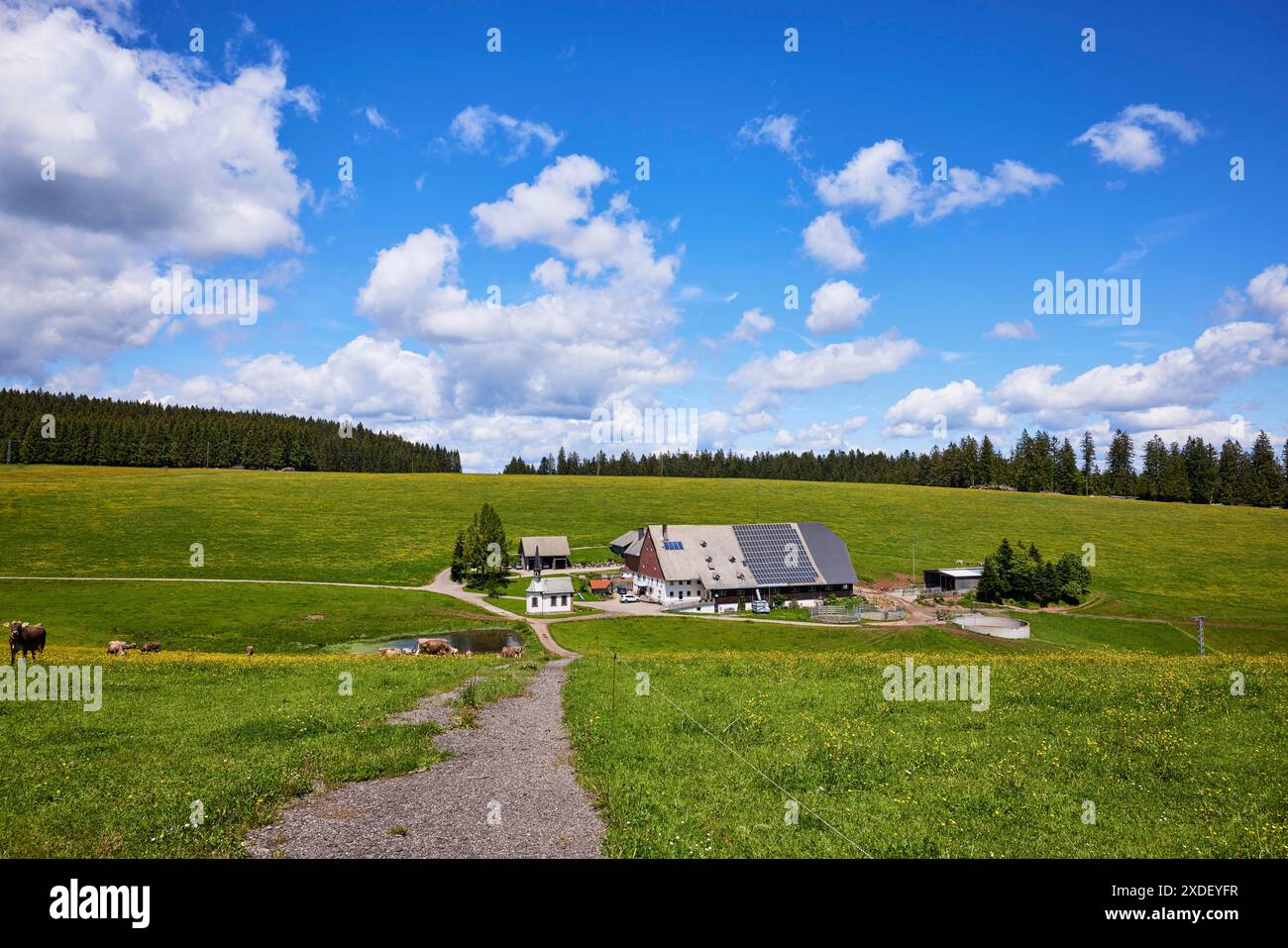 Furtwangen im schwarzwald hi-res stock photography and images - Alamy