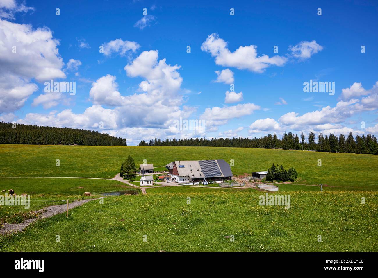 Farmstead with solar cells in a landscape with meadows and forest under ...