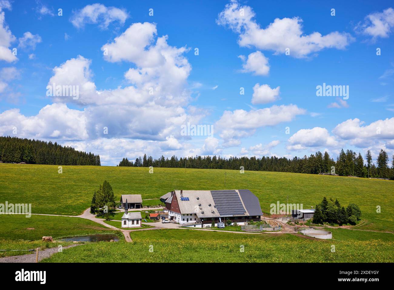 Farmstead with solar cells in a landscape with meadows and forest under ...