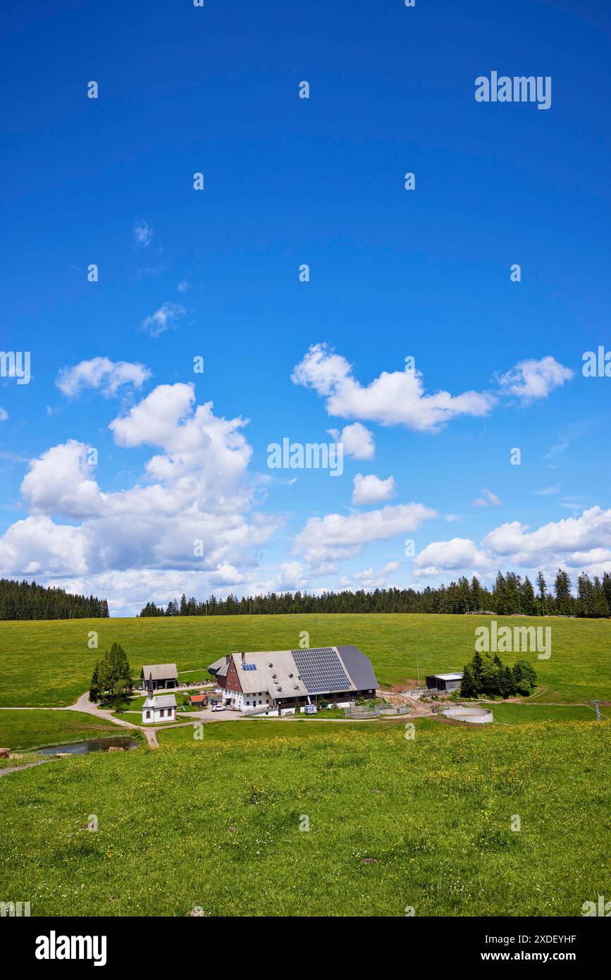Farmstead with solar cells in a landscape with meadows and forest under ...