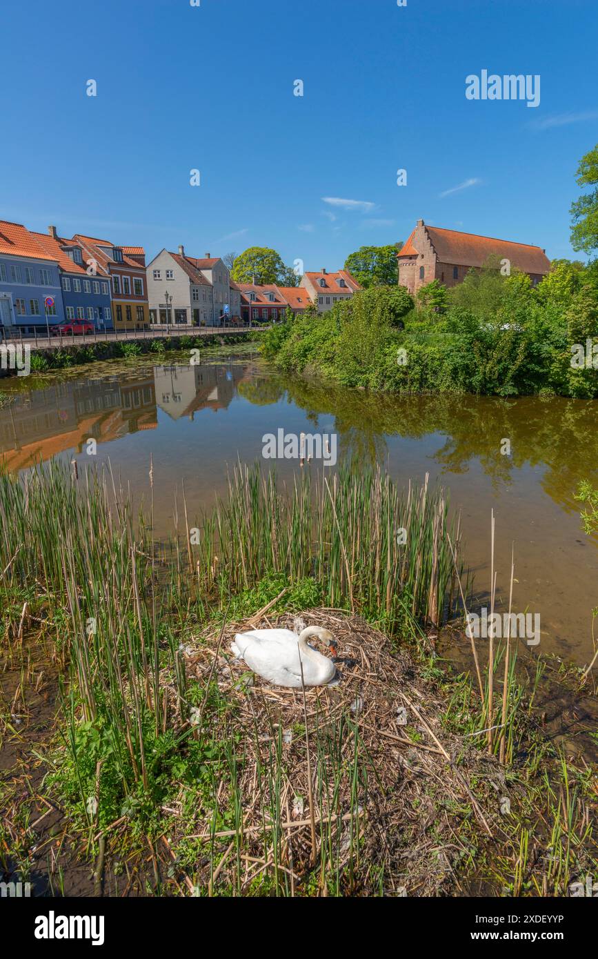 Old town of Nyborg, moat around the medieval town, restored, historic ...