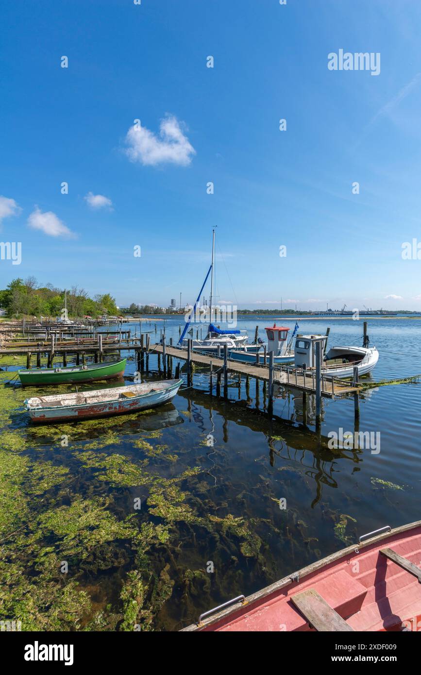 Nyborg on the Great Belt, small harbour, jetty with fishing boats ...