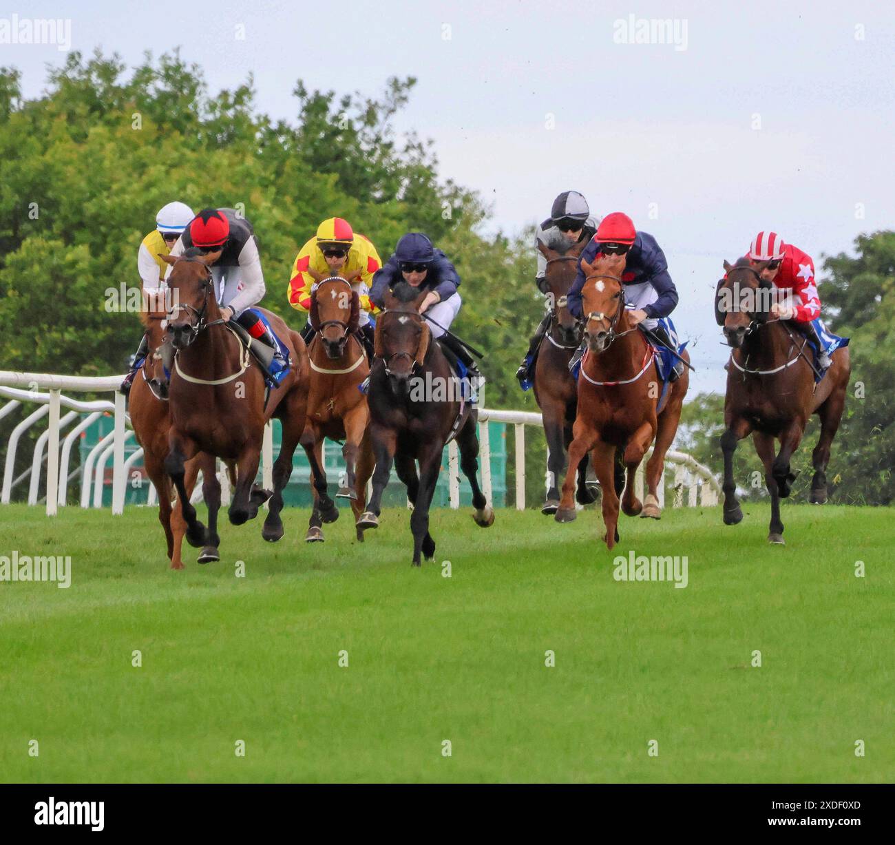 Down Royal Racecourse, Lisburn, Northern Ireland. 22 Jun 2024 ...