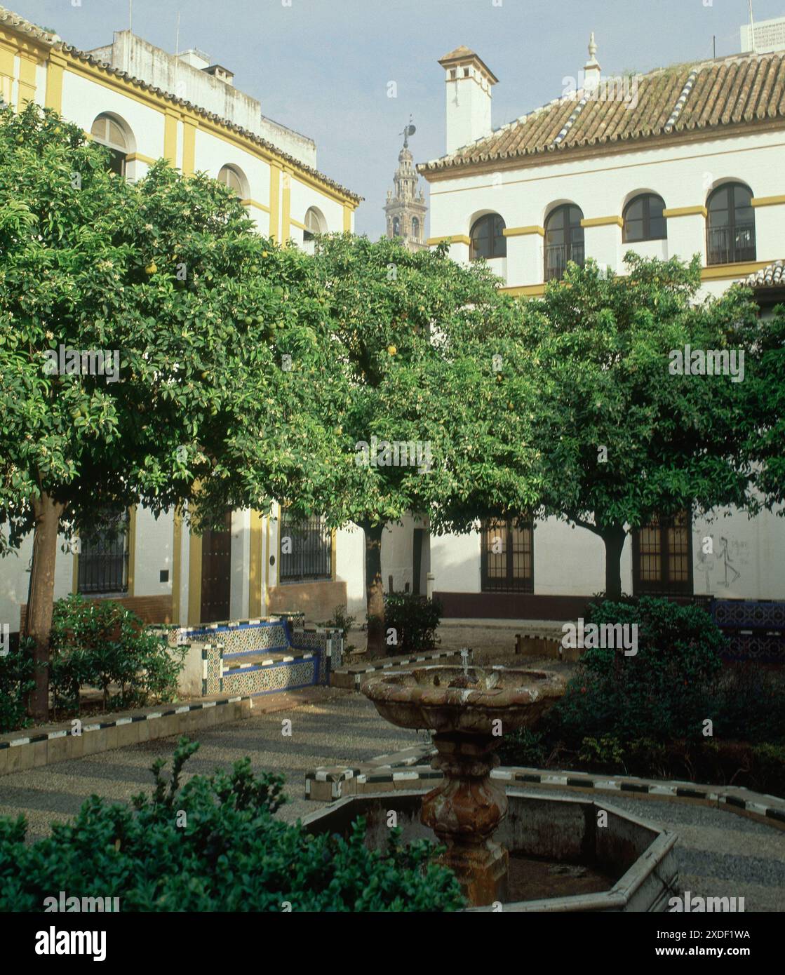 Plaza sta cruz hi-res stock photography and images - Alamy