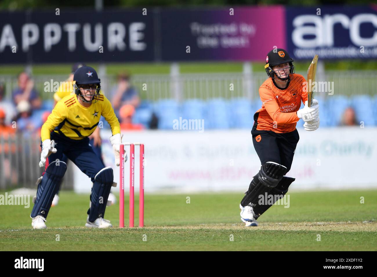 Charlotte dean derby cricket hi-res stock photography and images - Alamy
