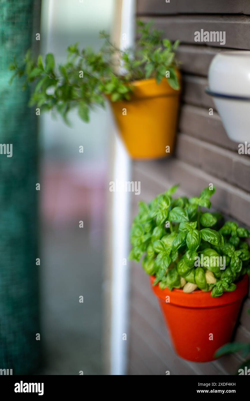 Lively botanical design hi-res stock photography and images - Alamy