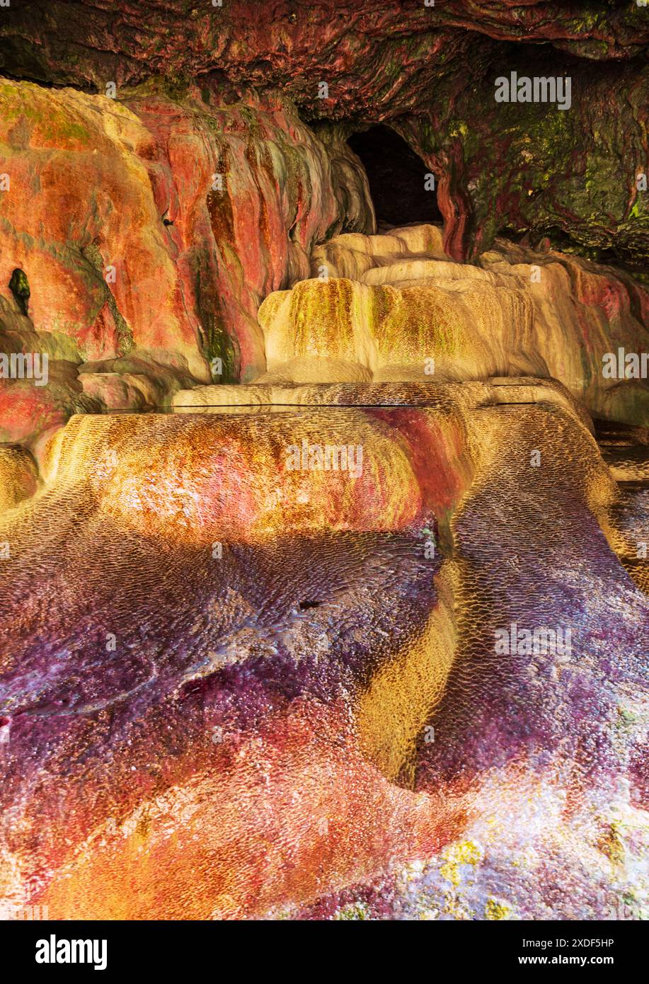 Holywell bay cave hi-res stock photography and images - Alamy