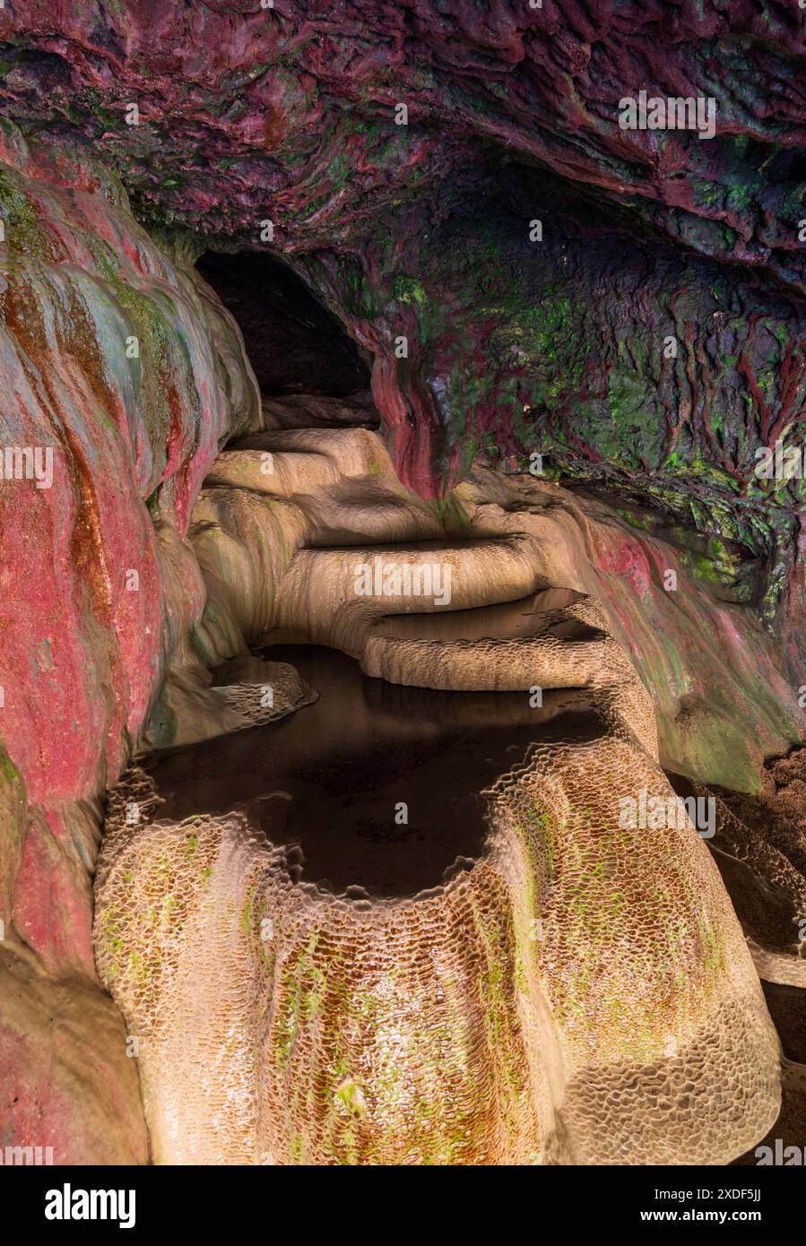 Holywell bay cave hi-res stock photography and images - Alamy