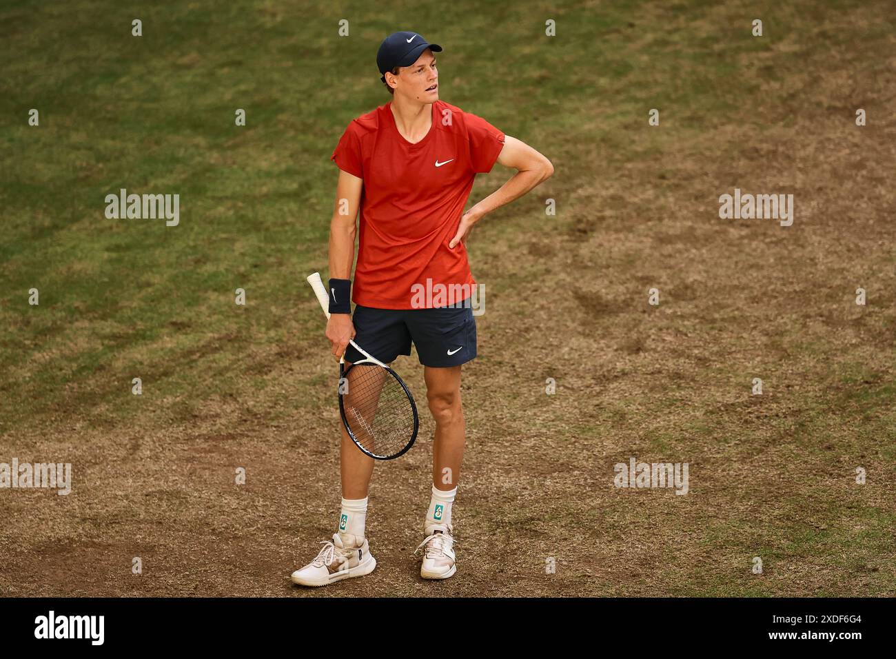 Jannik sinner halle open 2024 hi-res stock photography and images - Alamy