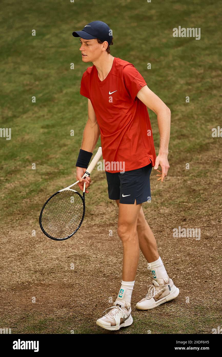Jannik sinner halle open 2024 hi-res stock photography and images - Alamy