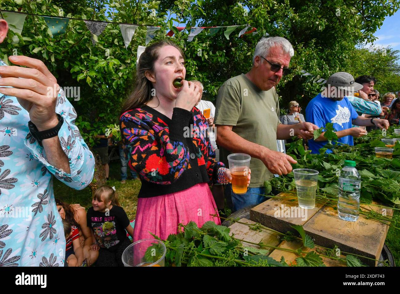 Dorset nectar cider farm hi-res stock photography and images - Alamy