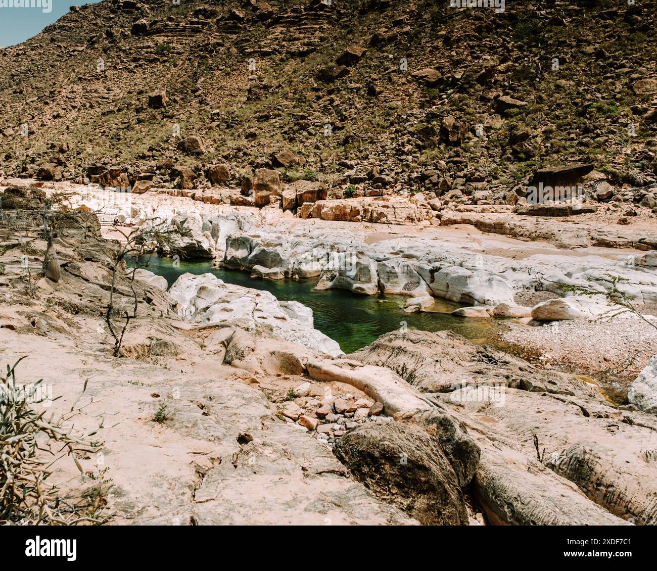 Green water in Wadi Dirhur Canyon, Socotra Yemen Stock Photo - Alamy