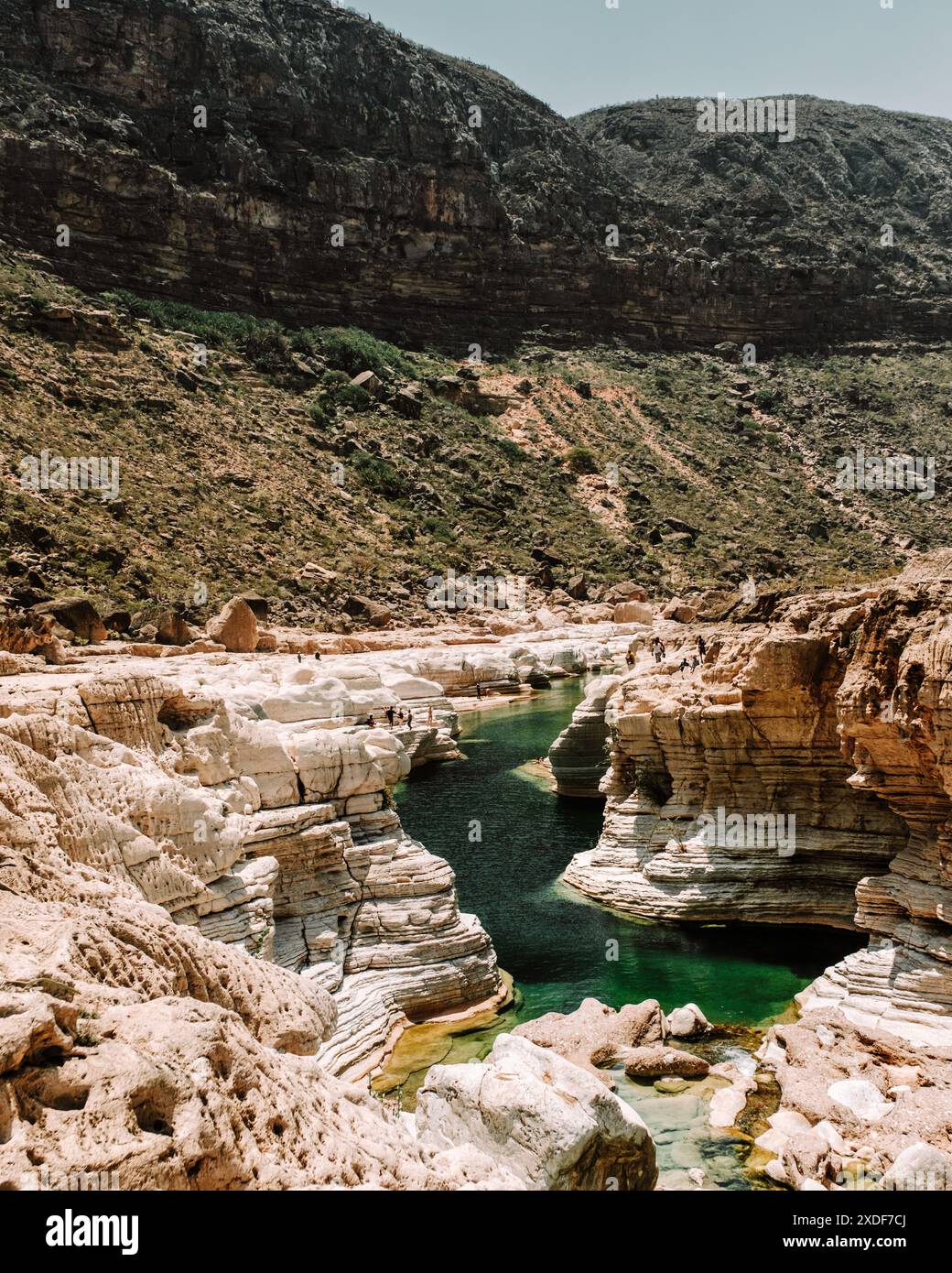 Green water in Wadi Dirhur Canyon, Socotra Yemen Stock Photo - Alamy