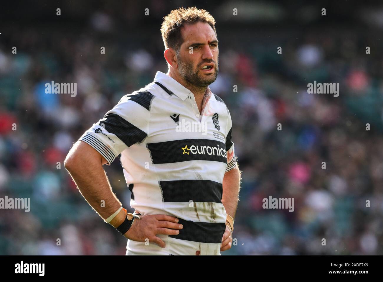 Sam Whitelock of Barbarians during the Killik Cup match Barbarians vs ...