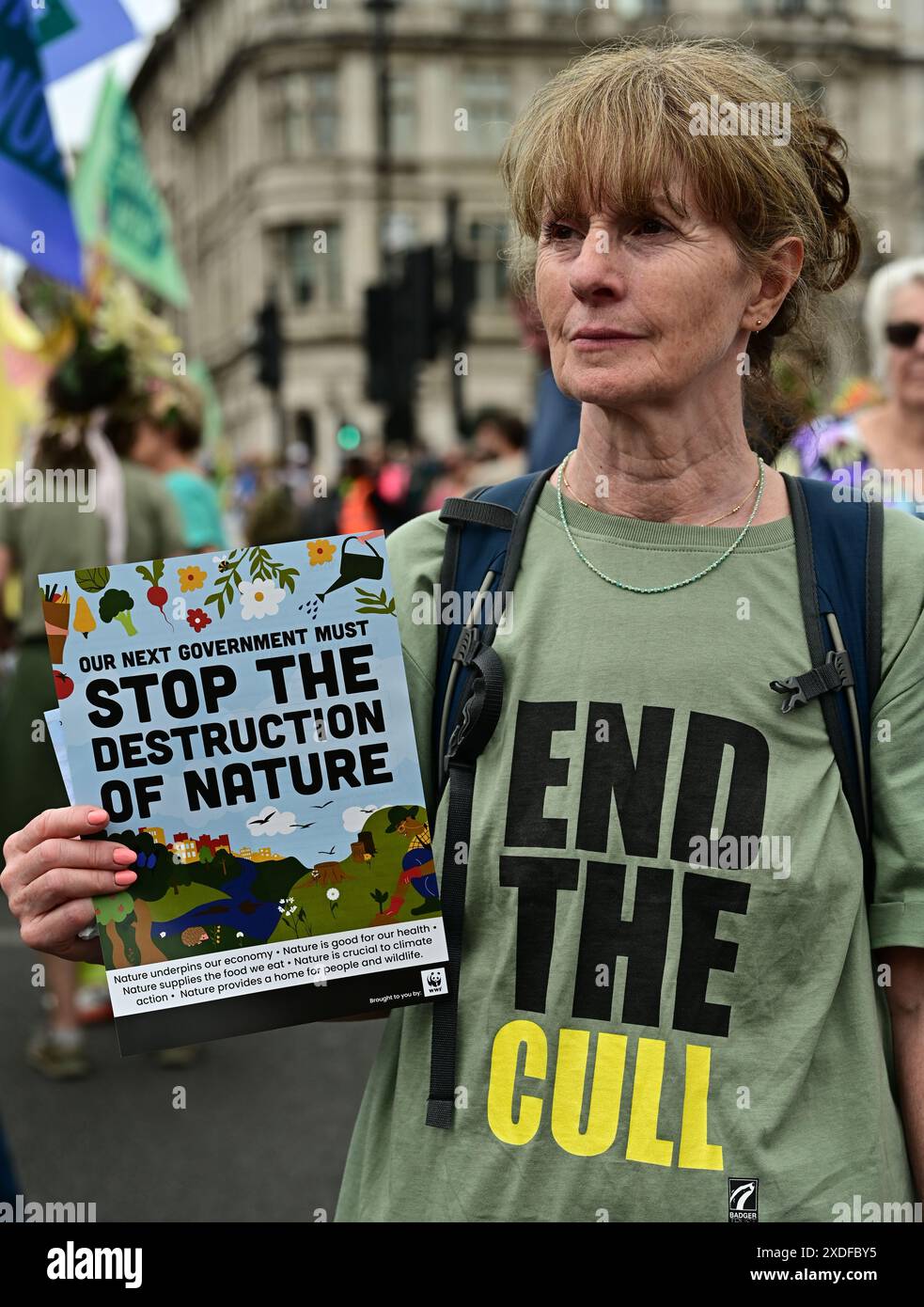 LONDON, UK. 22nd June, 2024. Restore Nature Now rally in Parliament ...