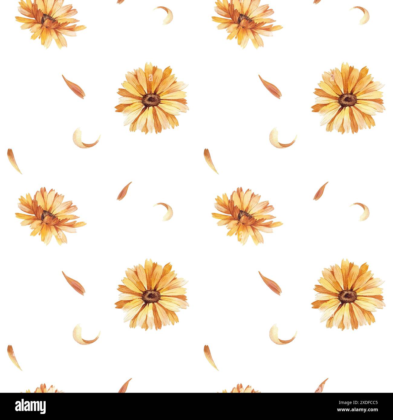 Card template calendula flowers hi-res stock photography and images - Alamy
