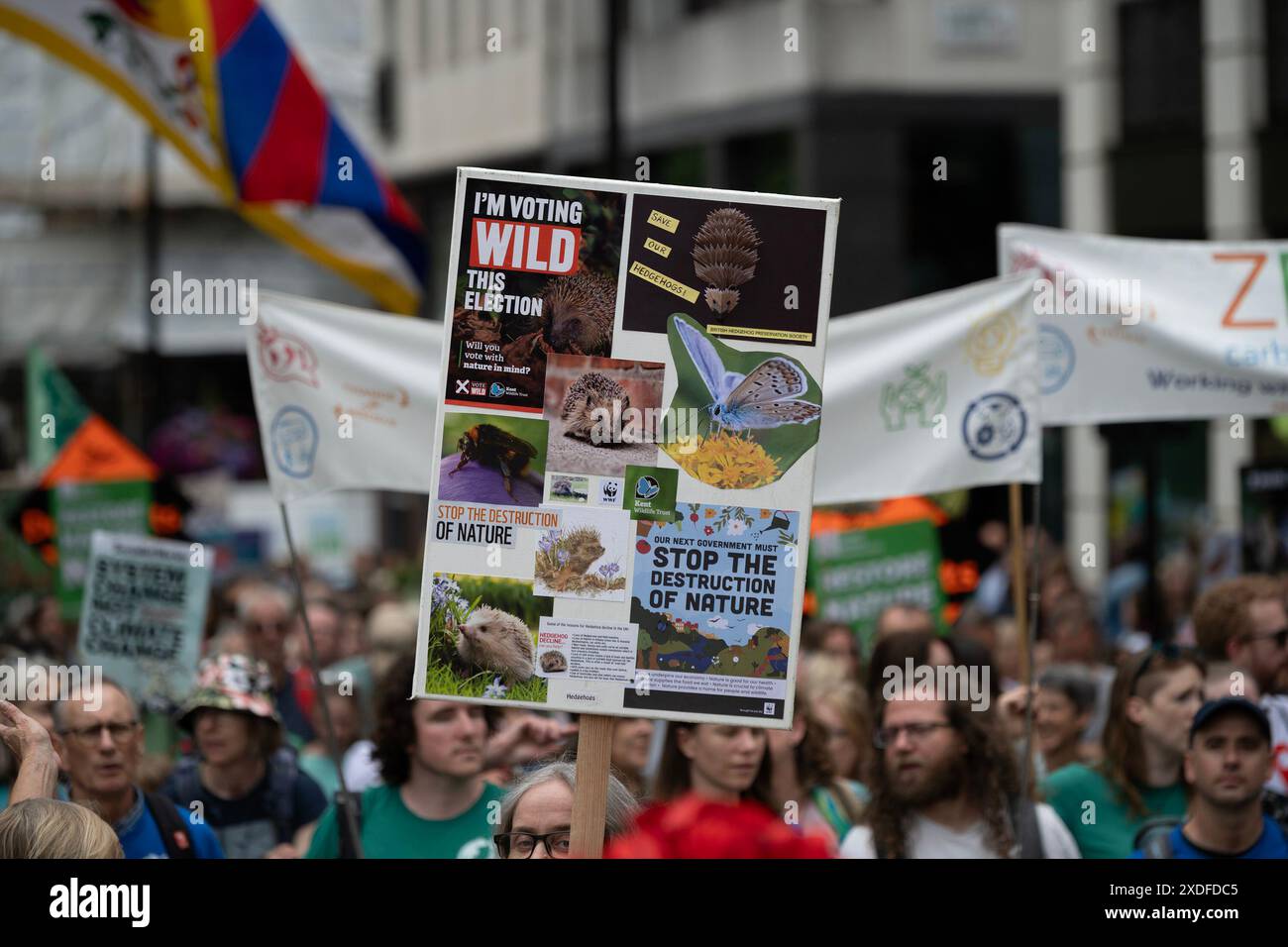 London, UK, 22 June 2024. Restore Nature Now march. The march calls for ...