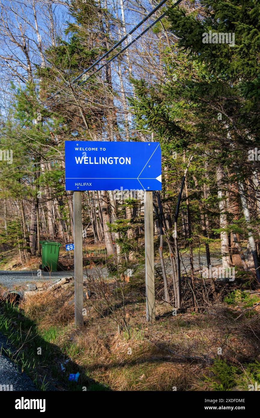 Wellington forest hi-res stock photography and images - Alamy