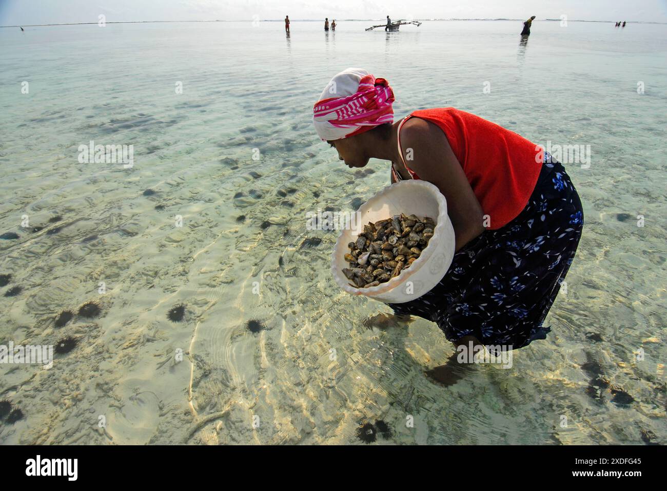 Africa Tanzania Zanzibar Shell collecting on Kiwengwa Beach Stock Photo ...