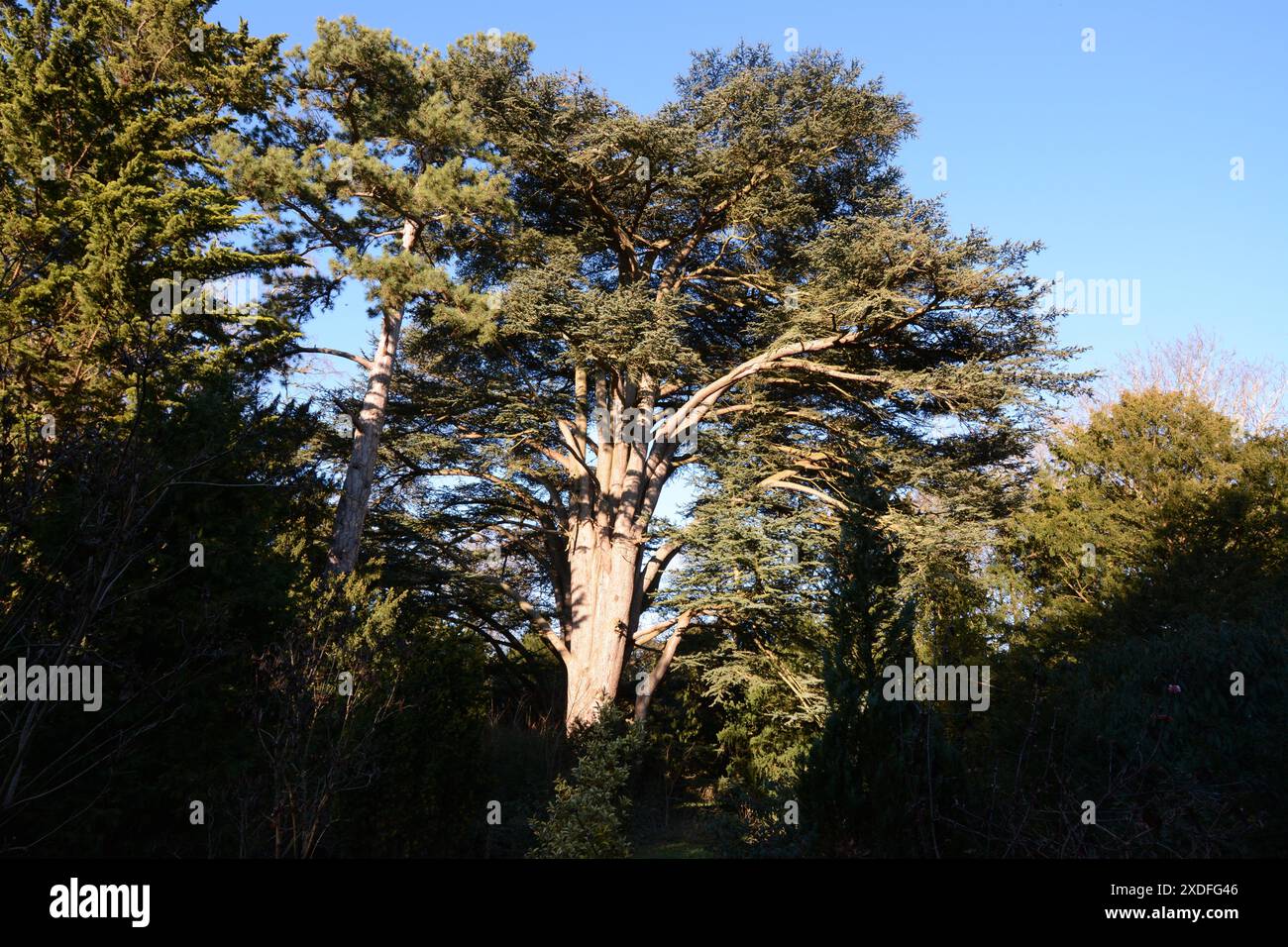 Anglesey Abbey National Trust property stone building ancient historic ...