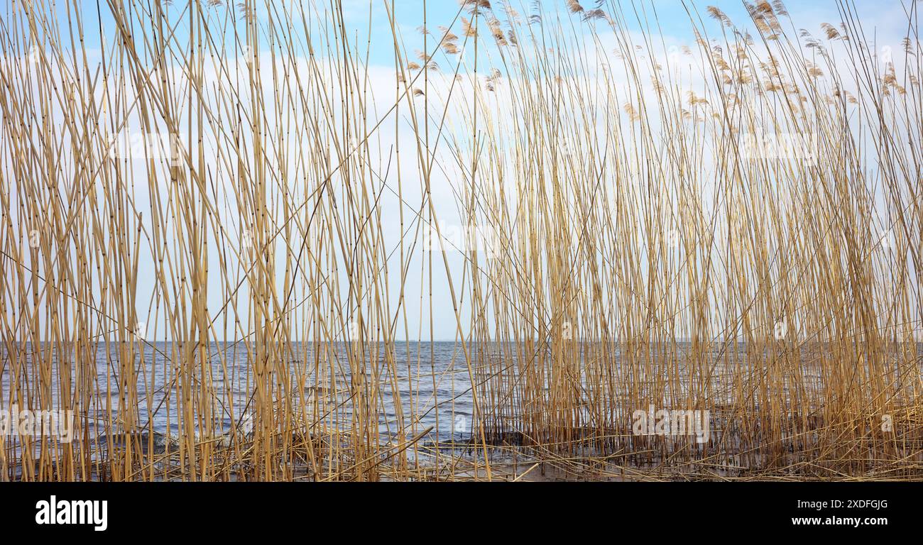 Outdoor water background hi-res stock photography and images - Alamy