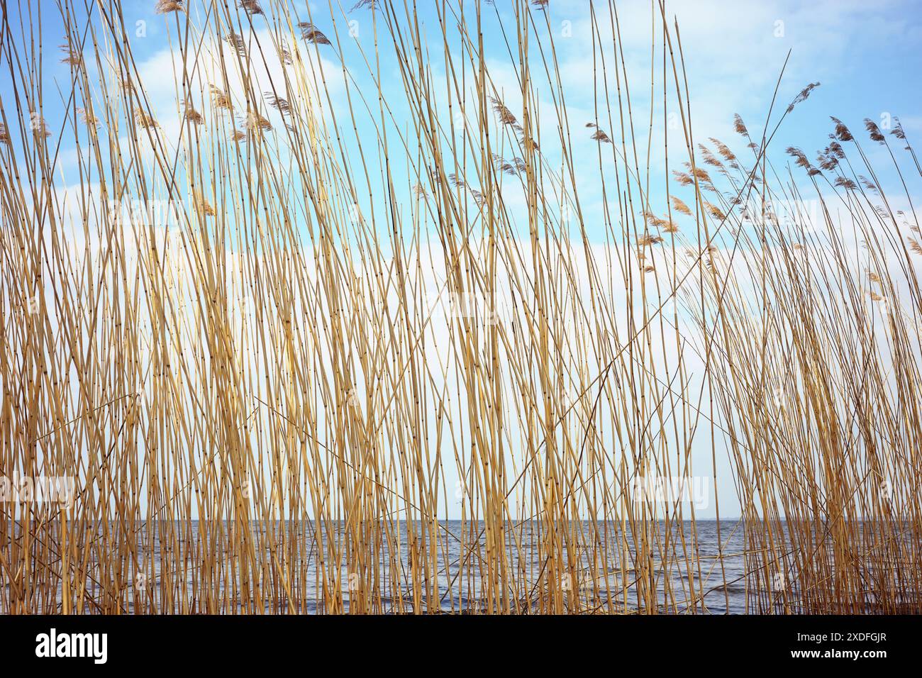 Outdoor water background hi-res stock photography and images - Alamy