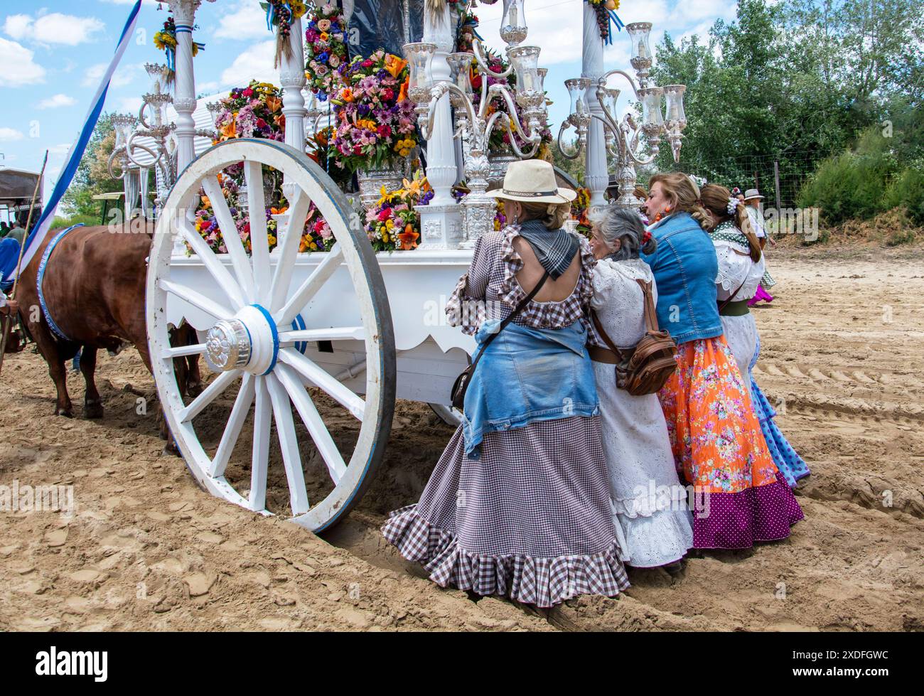 Group of pilgrims on foot following the ox cart at the entrance to ...