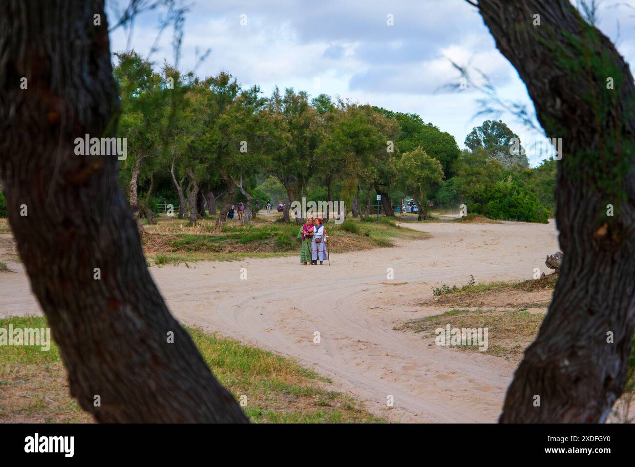 Older women dressed in flamenco dress making their way through the ...