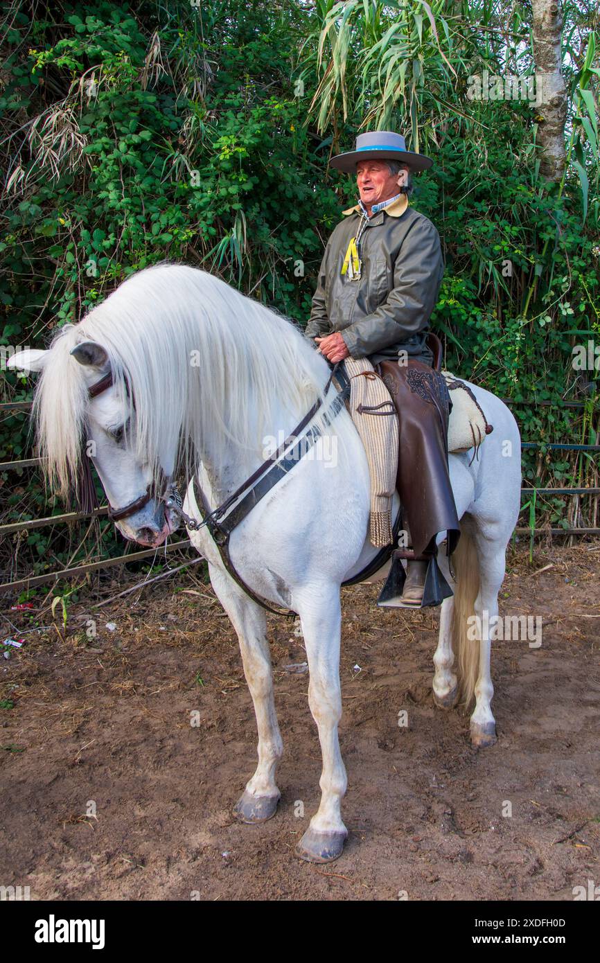 Horse-drawn carriages and carriages through the marshes of the Doñana ...