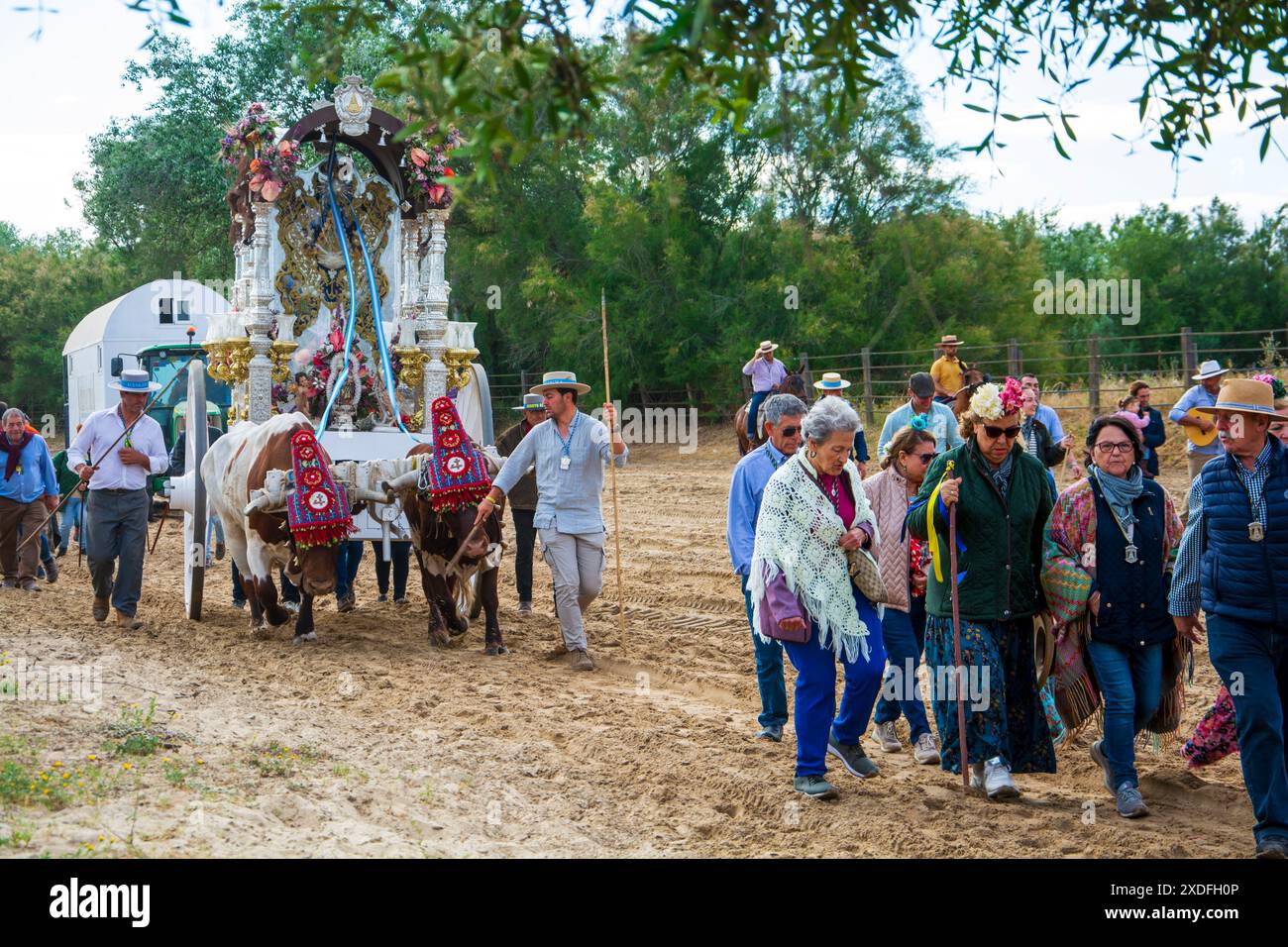 Group of pilgrims on foot following the ox cart at the entrance to ...