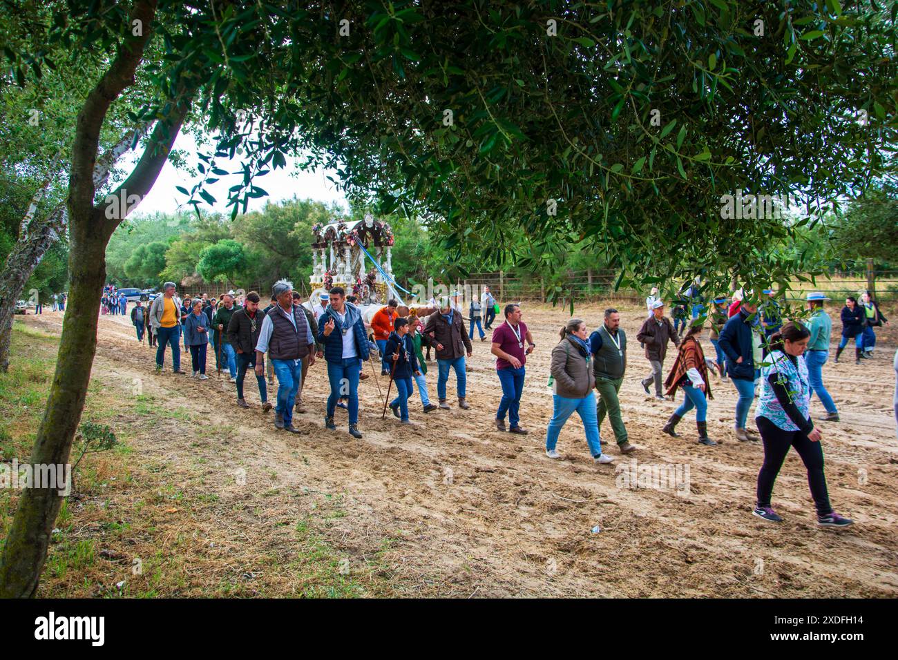 Group of pilgrims on foot following the ox cart at the entrance to ...