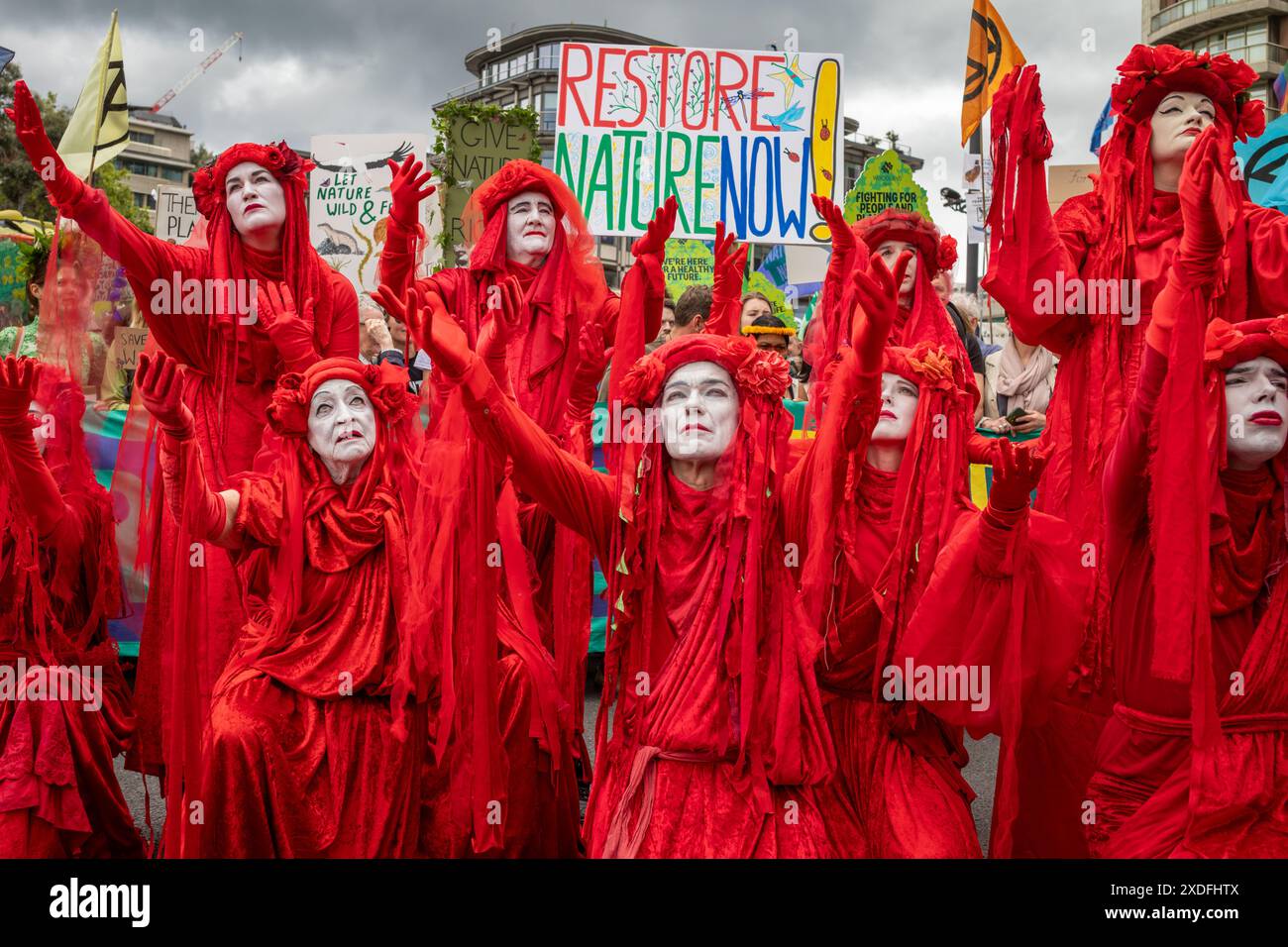 London / UK - Jun 22 2024: Red Rebel Brigade climate activists at the ...