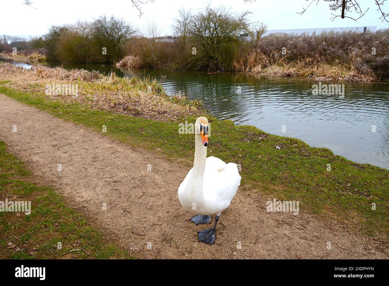 Northampton Northamptonshire Canal water river stream lake outside ...