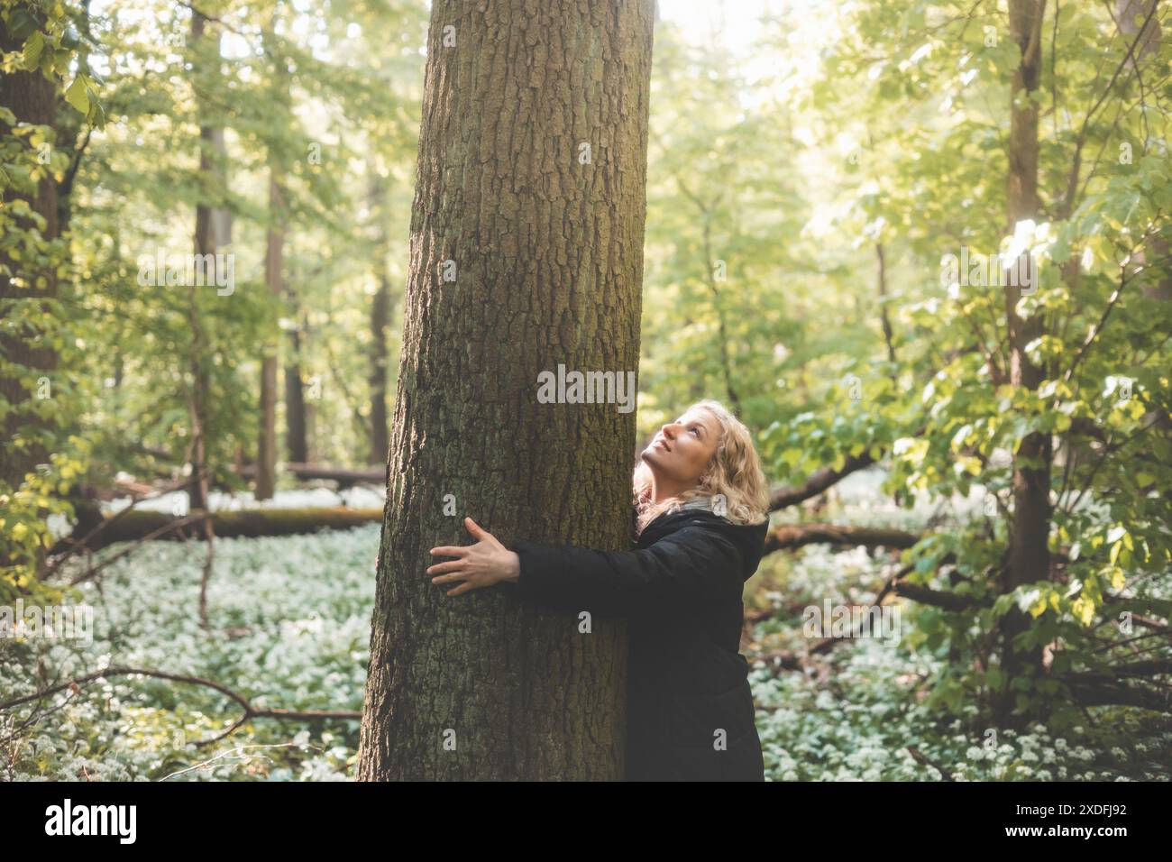 Blonde woman in a long black coat smiles and hugs a massive tree in the ...