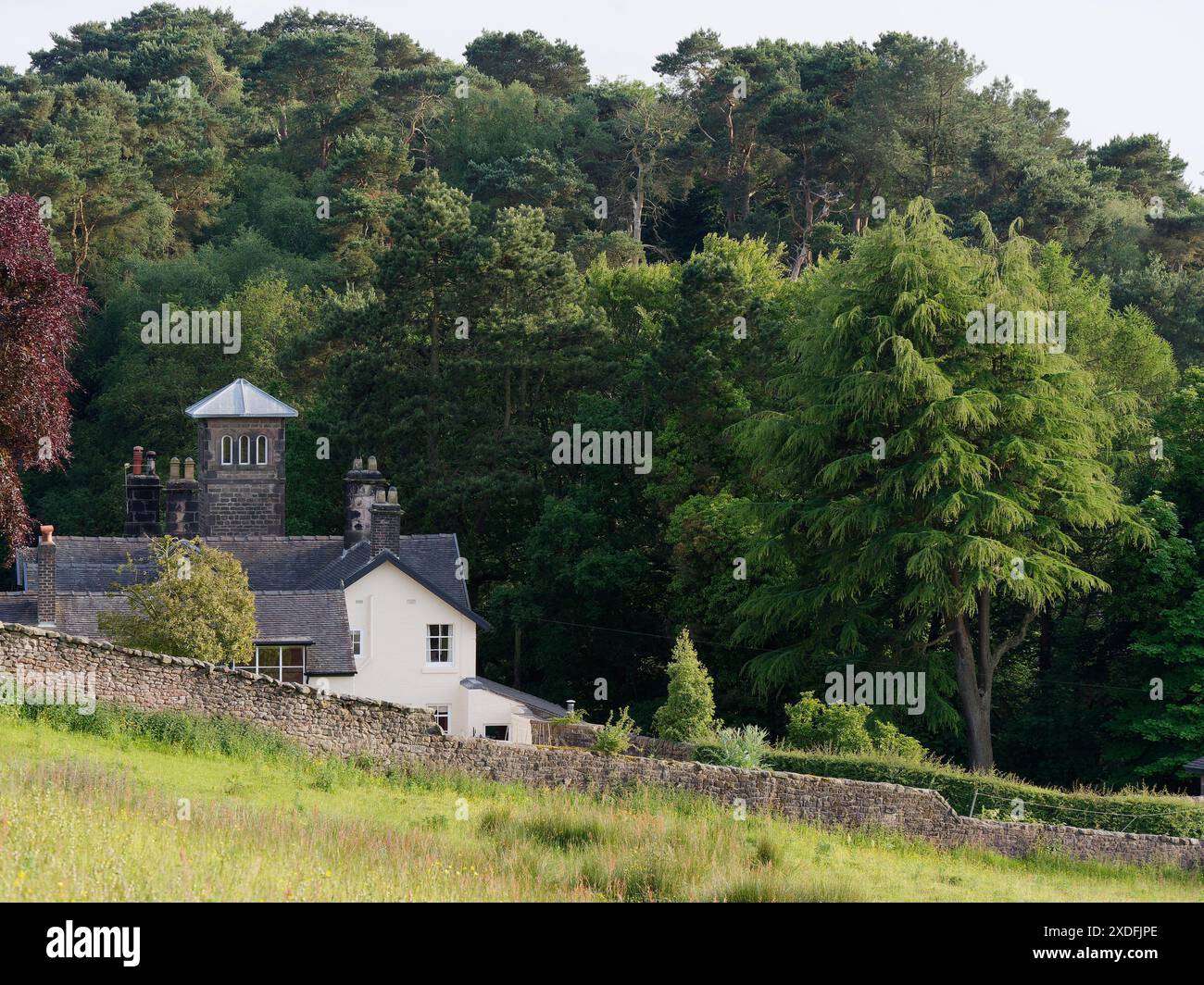 Impressive mansion style home with tower in a rural setting in Biddulph ...