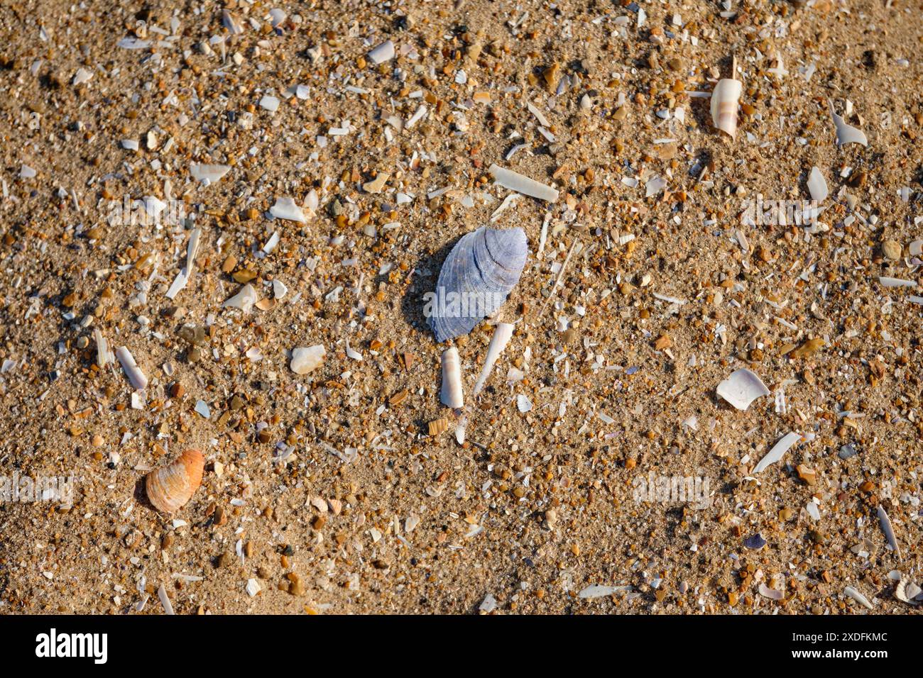 Ground down seashells hi-res stock photography and images - Alamy