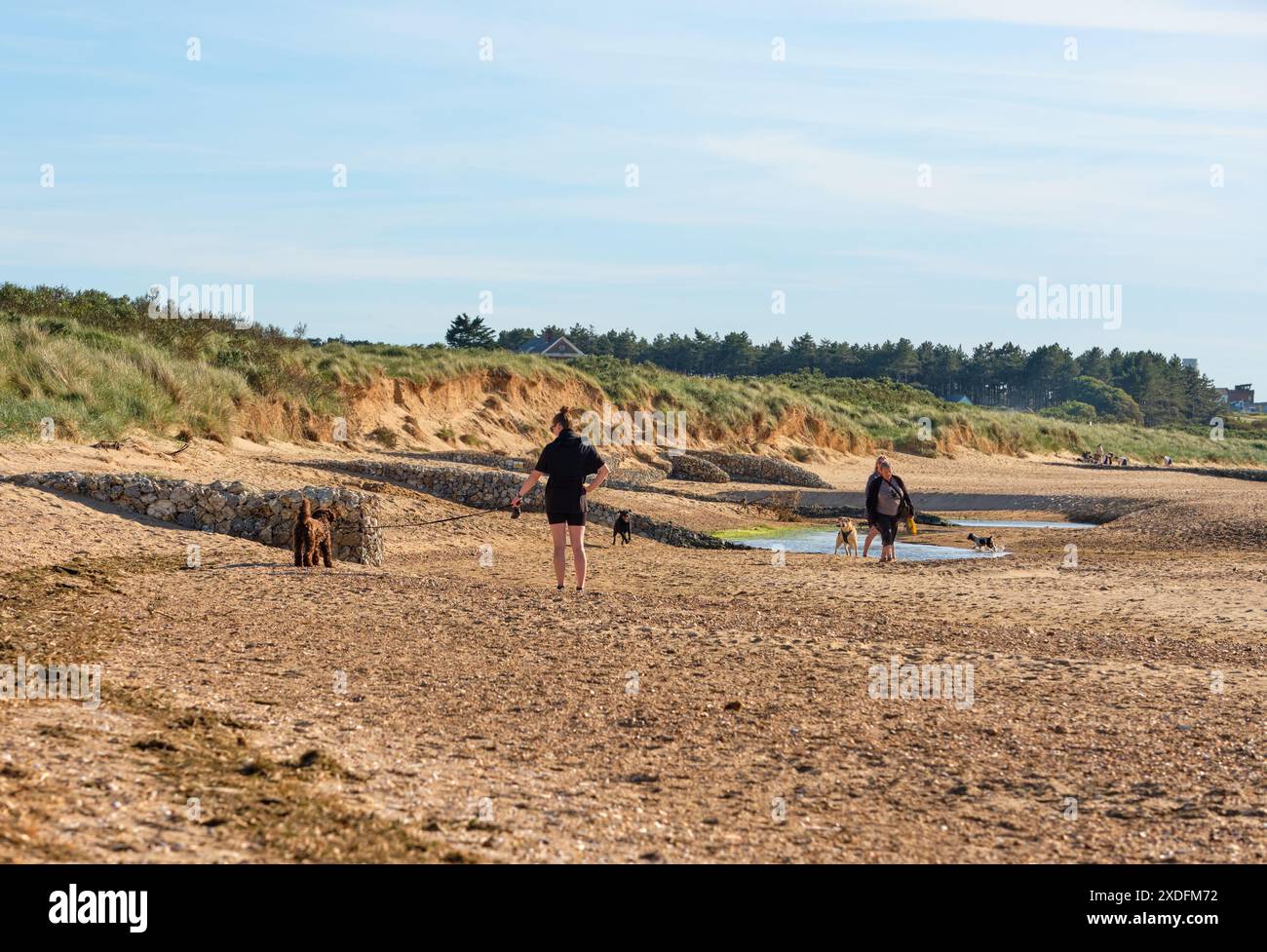 Girl walking a dog on Old Hunstanton beach, Norfolk, UK Stock Photo - Alamy