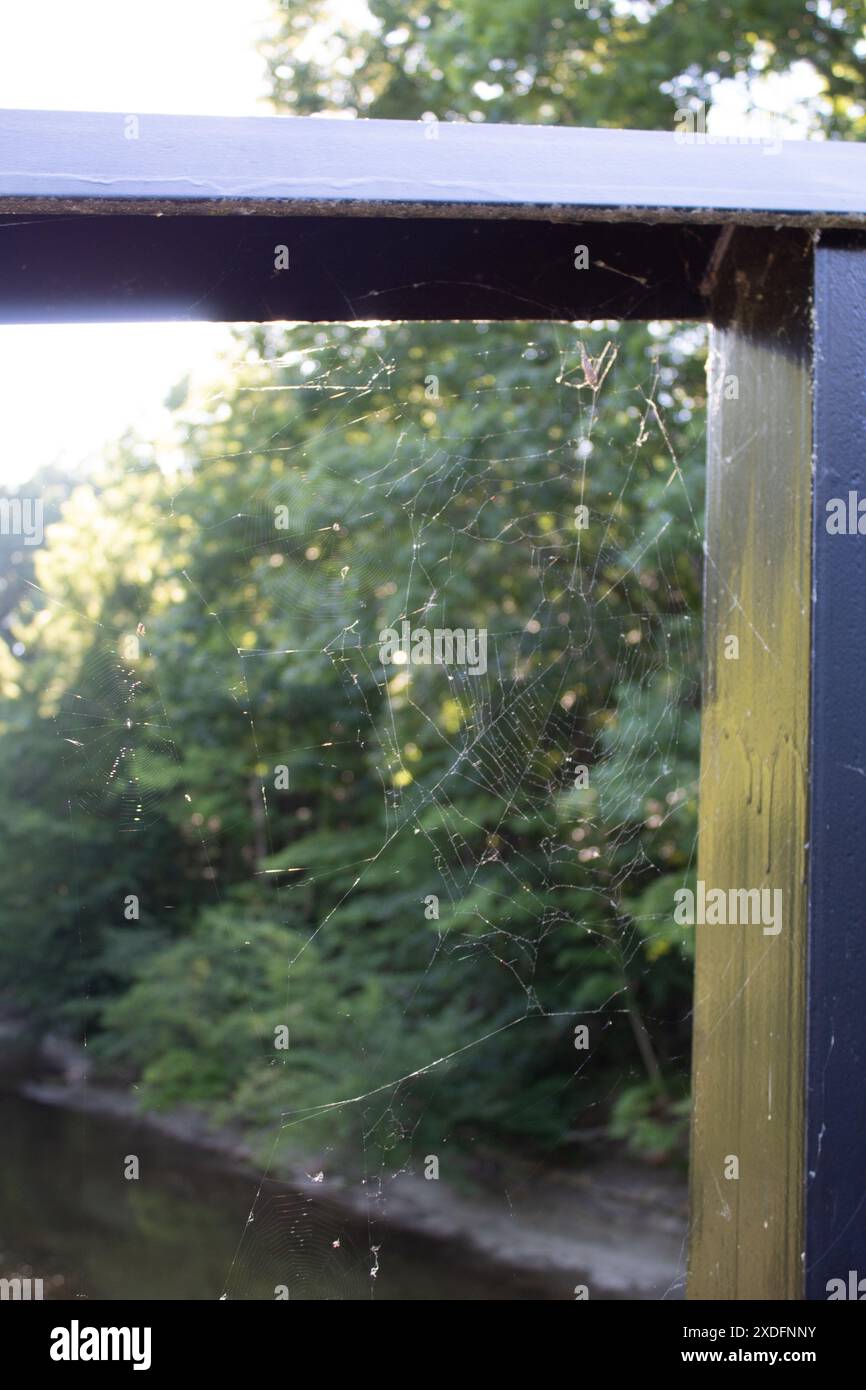 Bridge spider hi-res stock photography and images - Alamy