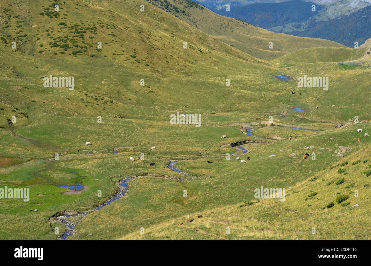Western Valleys Natural Park (parque natural de los Valles Occidentales ...