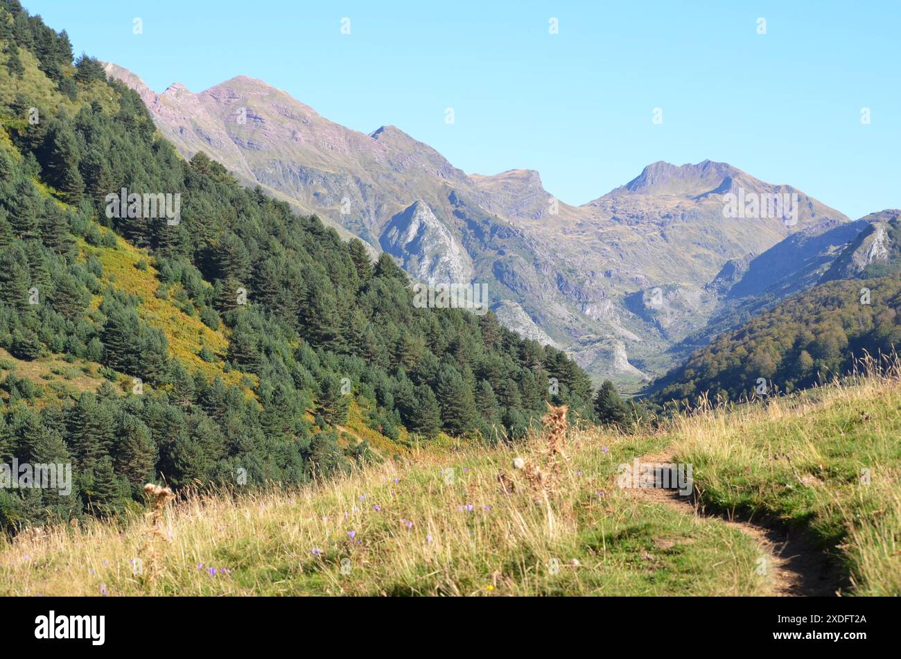 Western Valleys Natural Park (parque natural de los Valles Occidentales ...