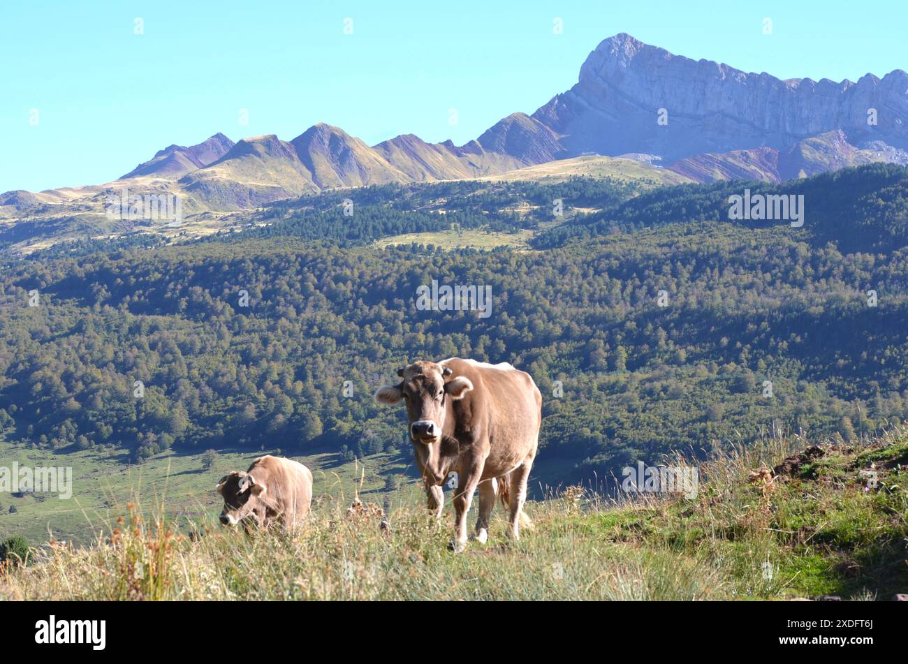 Western Valleys Natural Park (parque natural de los Valles Occidentales ...
