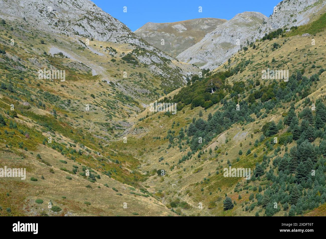 Western Valleys Natural Park (parque natural de los Valles Occidentales ...