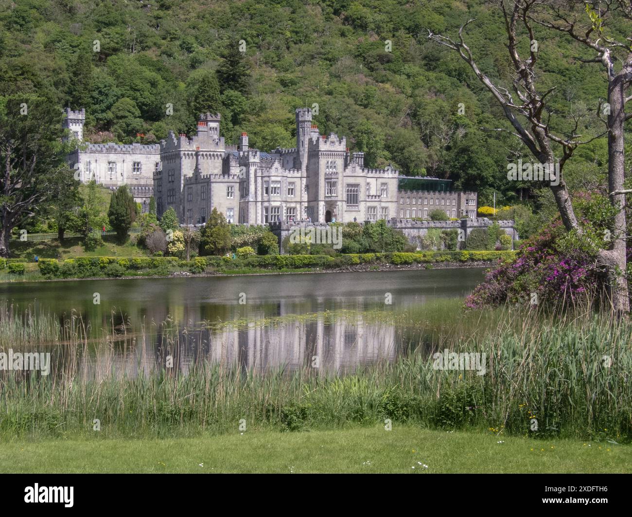 Kylemore Abbey, a Gothic Benedictine nunnery with restored Victorian ...